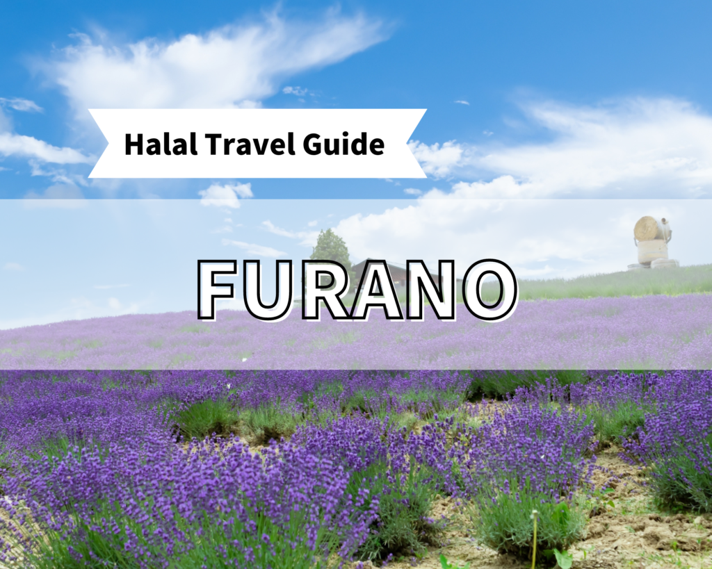 Furano Halal Travel Guide for Muslims! | Paulonia