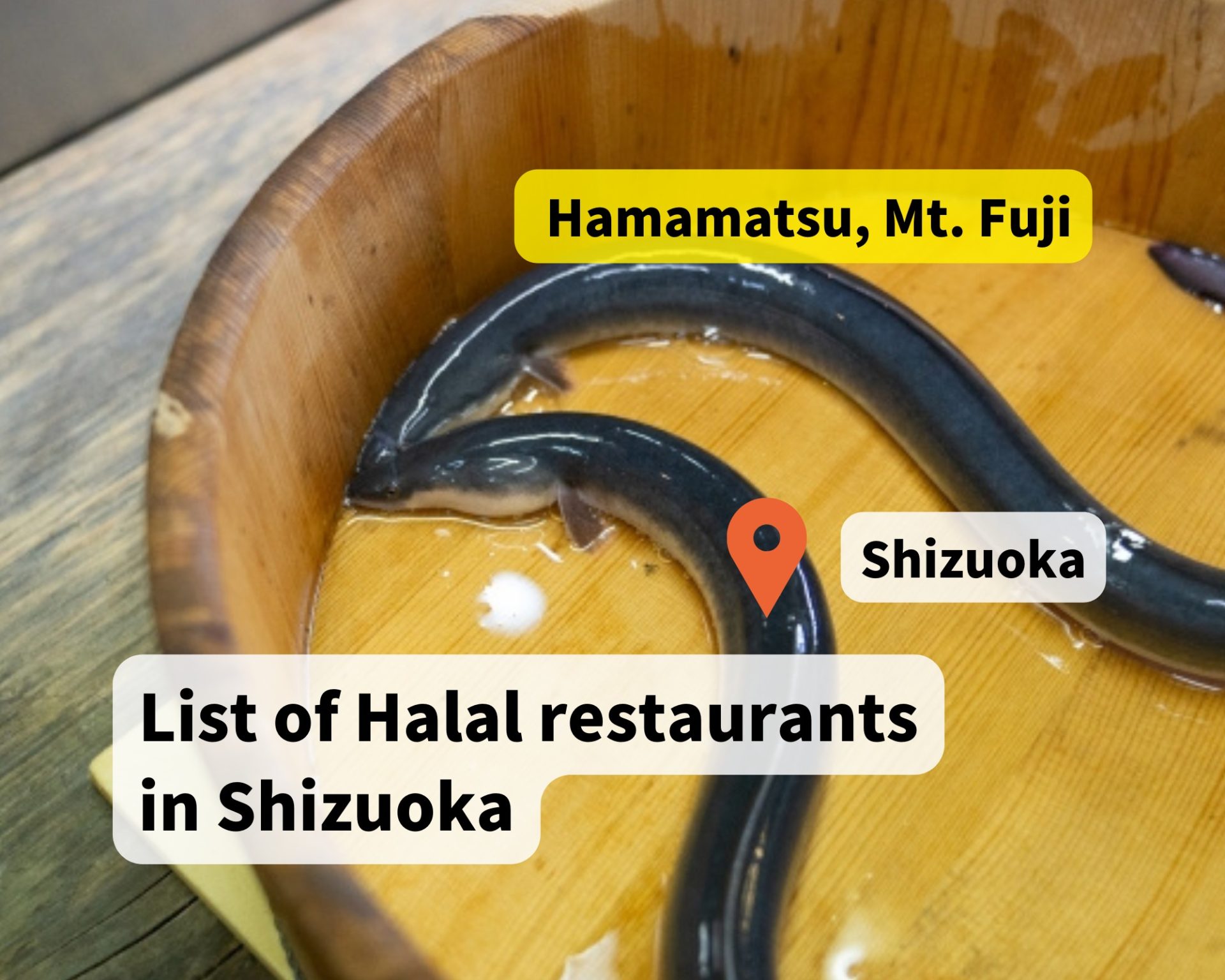 【2023】Mt. Fuji Halal Travel Guide for Muslims! | Paulonia
