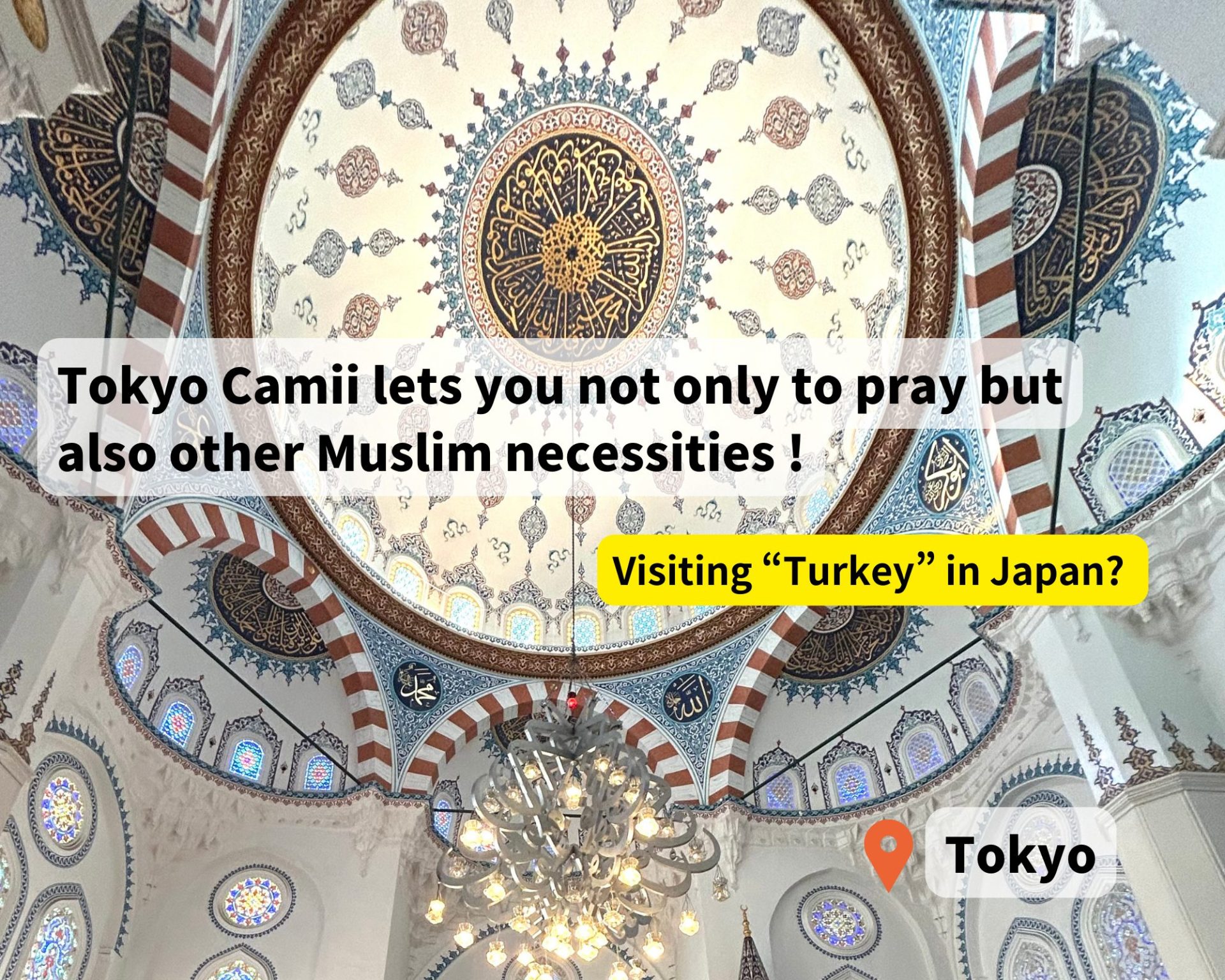 Visiting “Turkey” in Japan? Tokyo Camii lets you not only to pray but ...