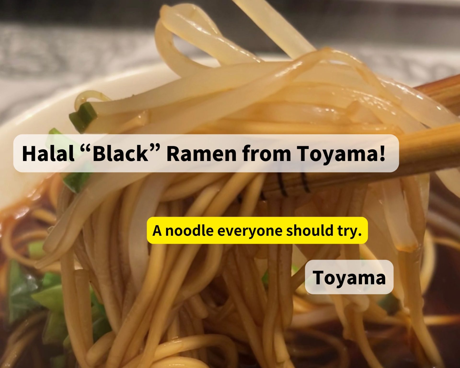 Halal “Black” Ramen from Toyama! A noodle everyone should try. | Paulonia